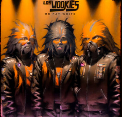 The Wookies - Indie Rocks!